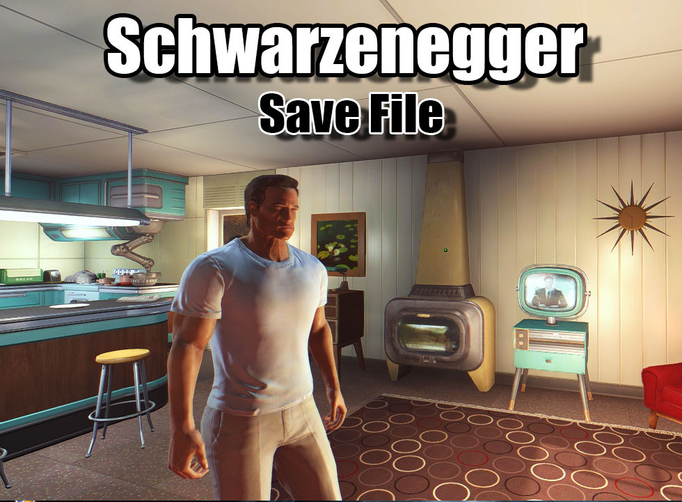 Arnold Schwarzenegger Save File : Fallout 4 MOD紹介ギャラリー フォールアウト4 (FO4)