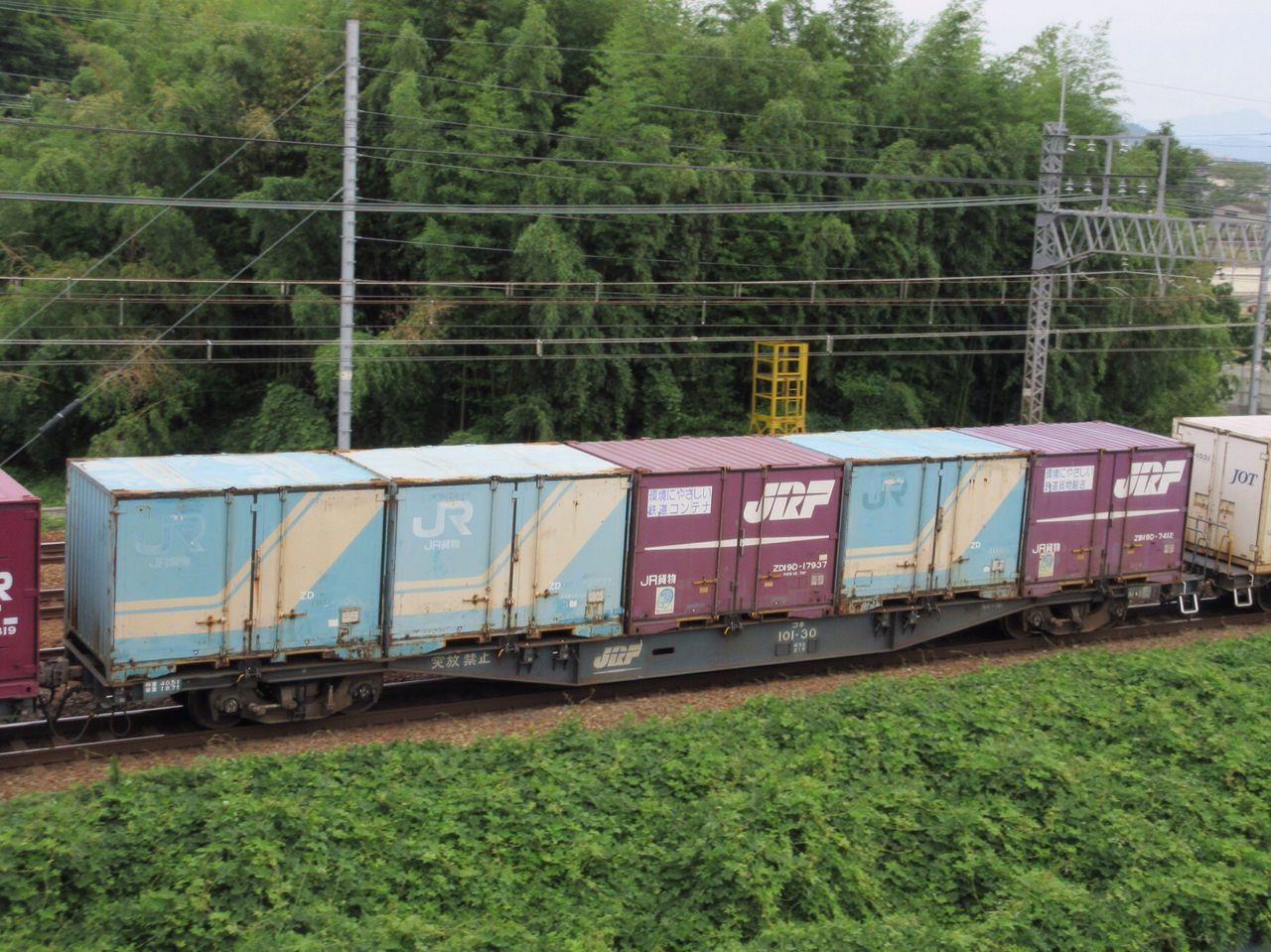 ZD19Dコンテナ : コンテナblog