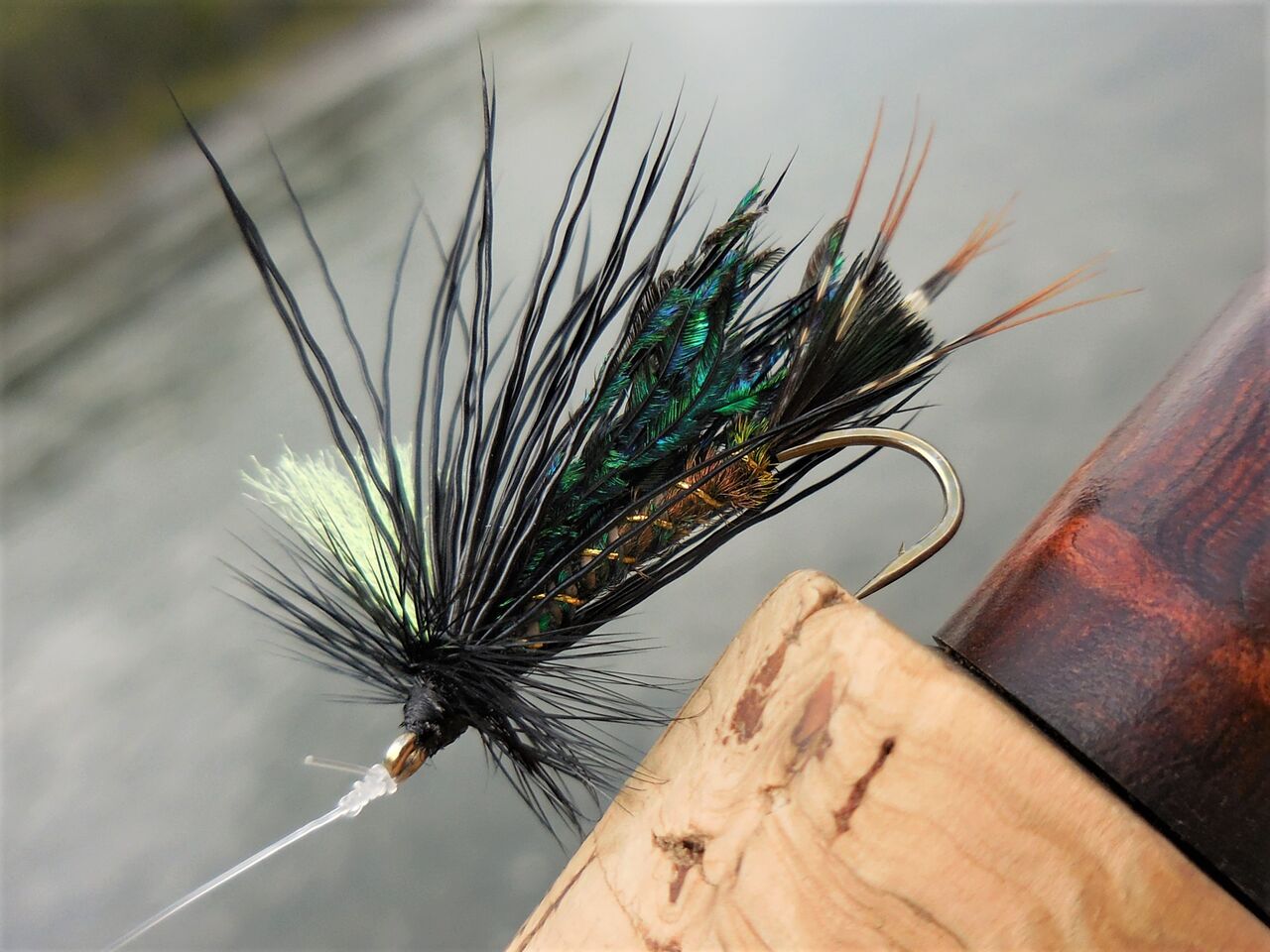 2021年09月11日 : F・Fとしての証