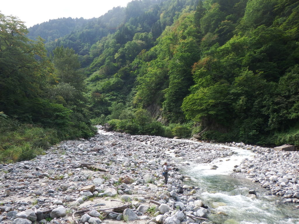 遊び倒したSW3日間 2日目 : 中年おっさんのフライフィッシング手記