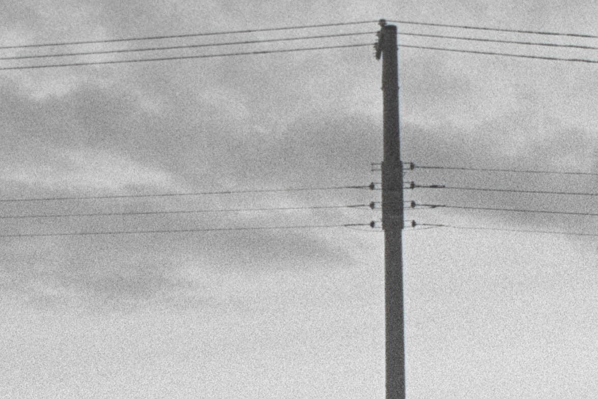 D76 vs. Rodinal 現像液の違いとは : Darkroom Door