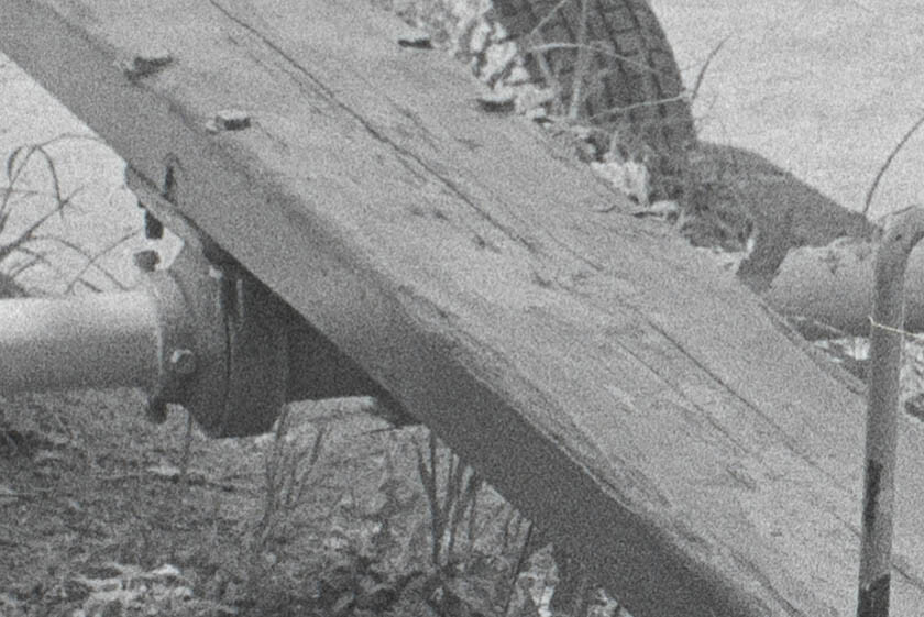 D76 vs. Rodinal 現像液の違いとは : Darkroom Door