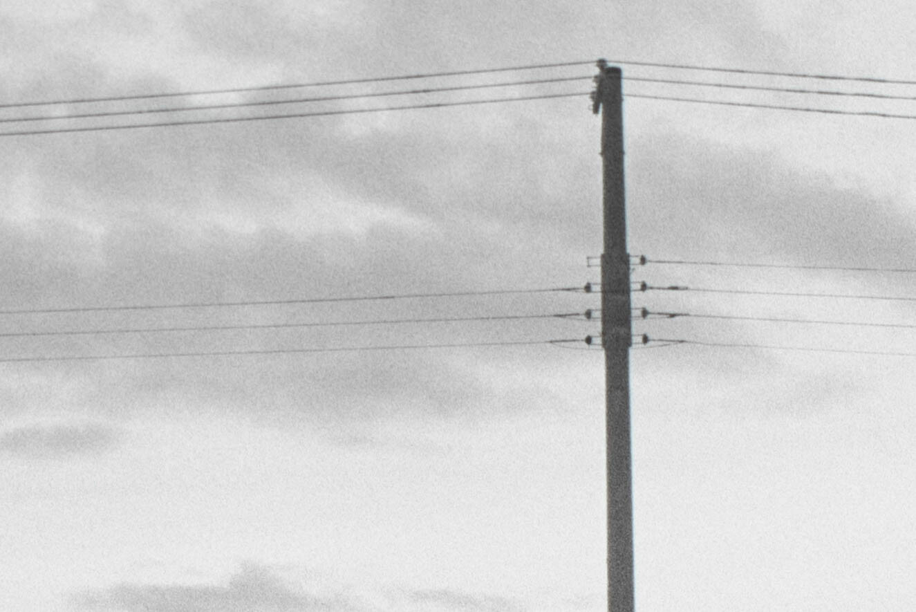 D76 vs. Rodinal 現像液の違いとは : Darkroom Door