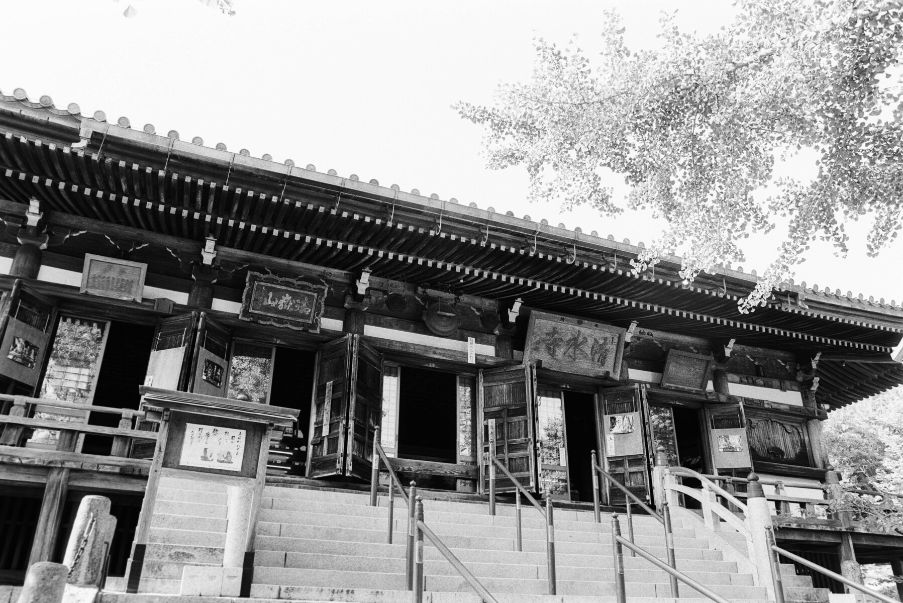 最強のオールラウンド現像液(FX39Ⅱ, Silversalt, Acurol N) : Darkroom Door