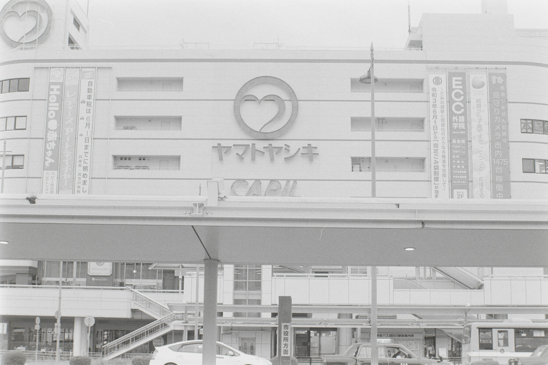 D76 vs. Rodinal 現像液の違いとは : Darkroom Door