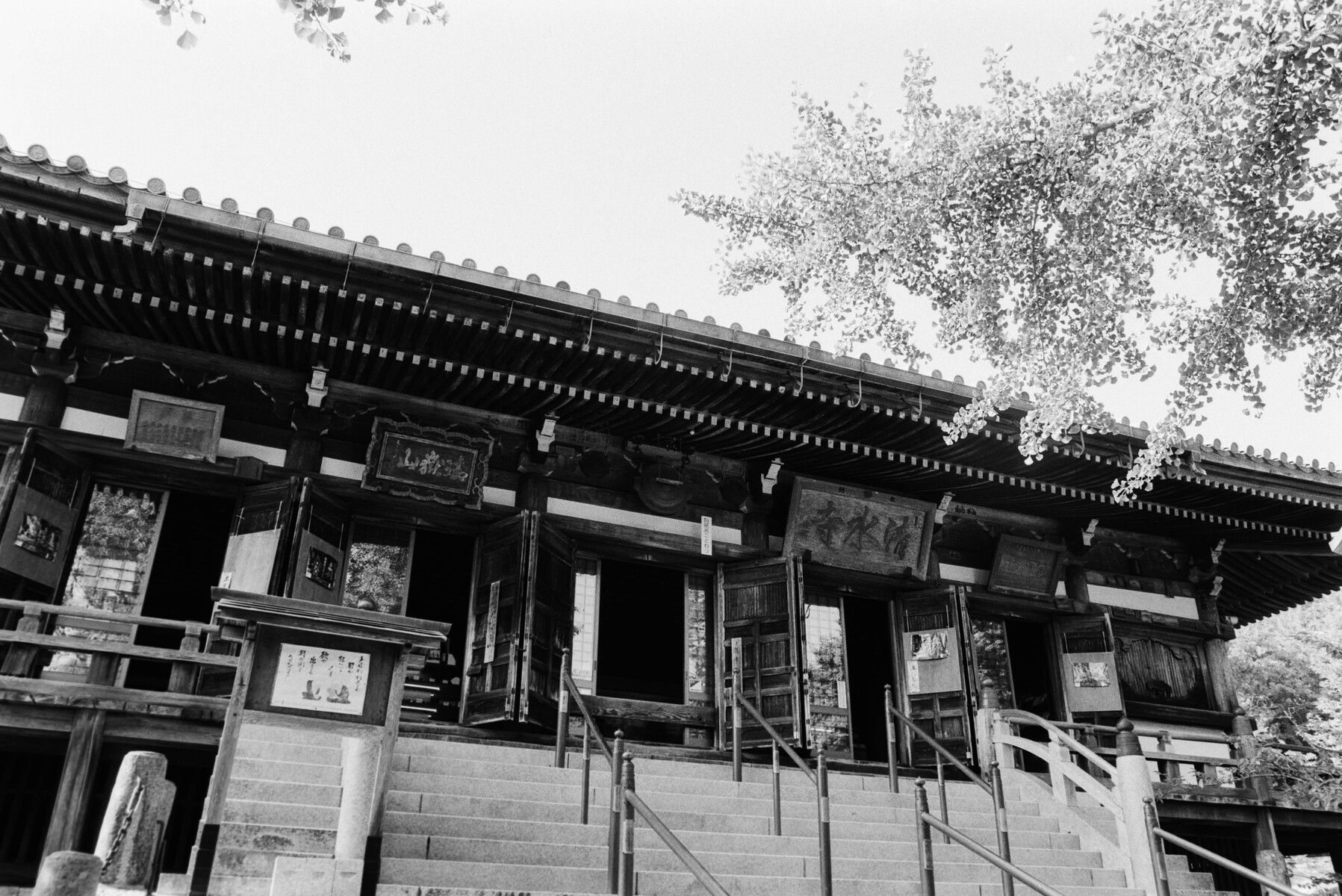 最強のオールラウンド現像液(FX39Ⅱ, Silversalt, Acurol N) : Darkroom Door