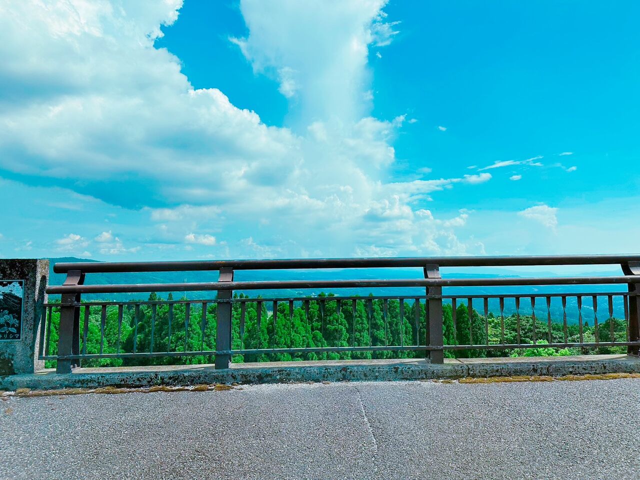 -続報-SM嬢の夏休み : 高級SMファーストクラス【M女専科】