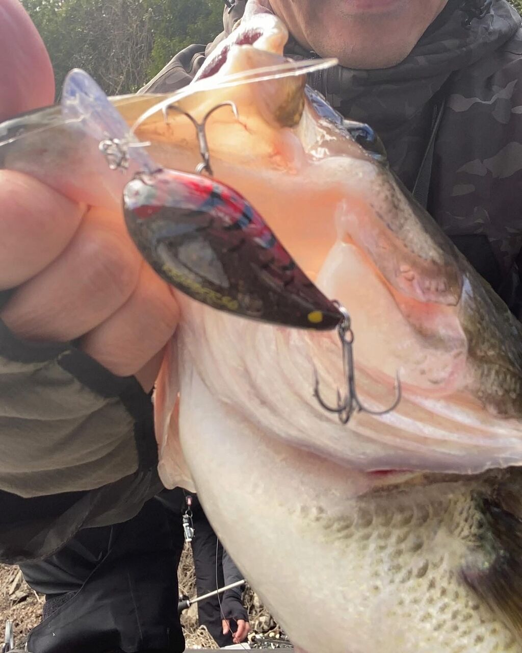 フラッター日誌 : クラバー50 衝撃のデビュー 50up 3本 3月20日 - livedoor Blog（ブログ）