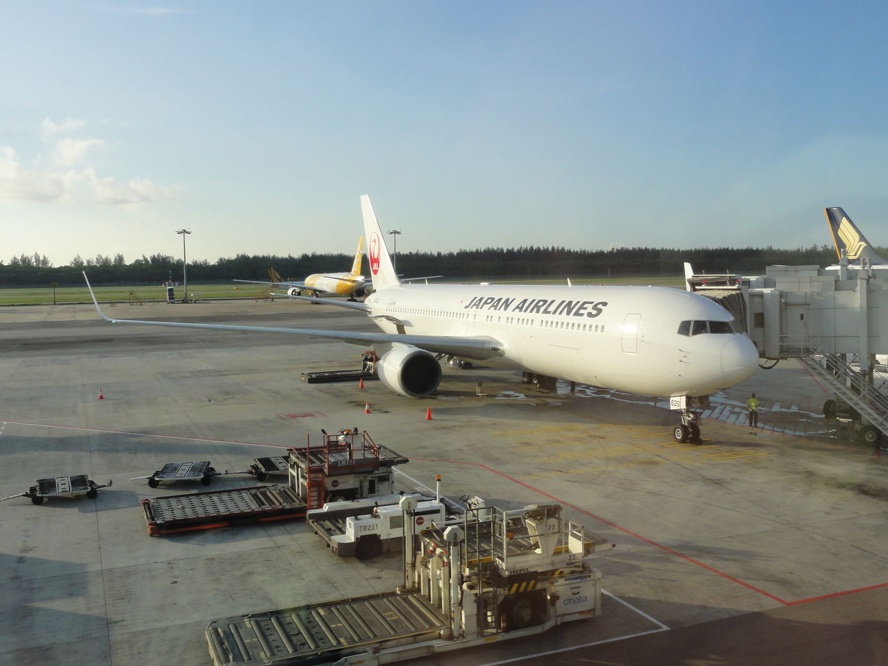 [2014-11-10]140608 JL712 SIN-NRT Y : FLY! FLY HIGH!!