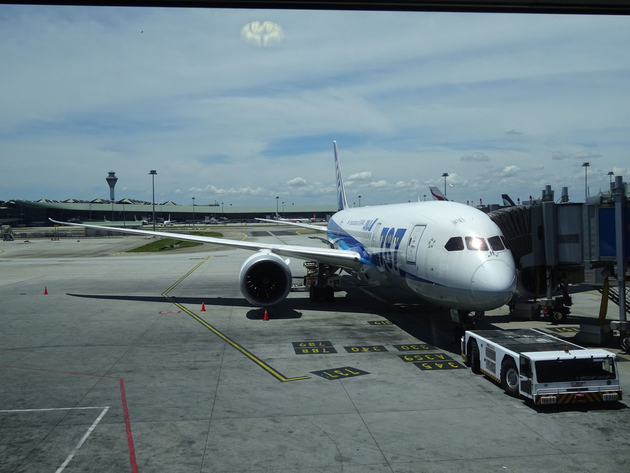 [2017-13-17]170924 NH886 KUL-HND C 788 : FLY! FLY HIGH!!