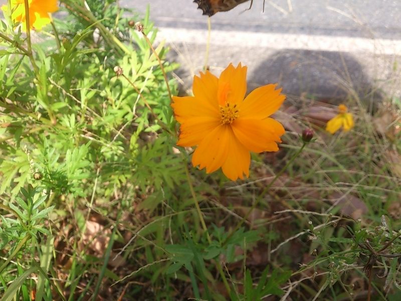 671日目のニート。