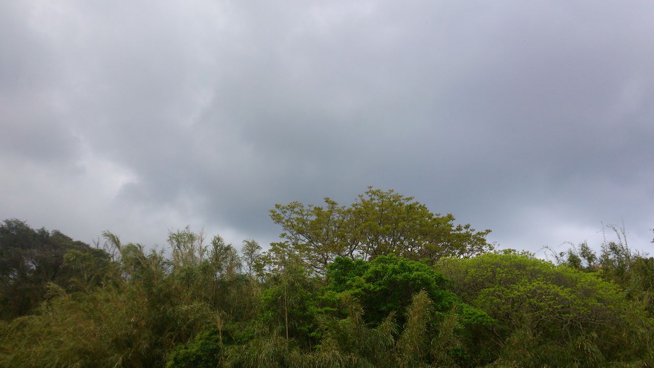 452日目のニート。