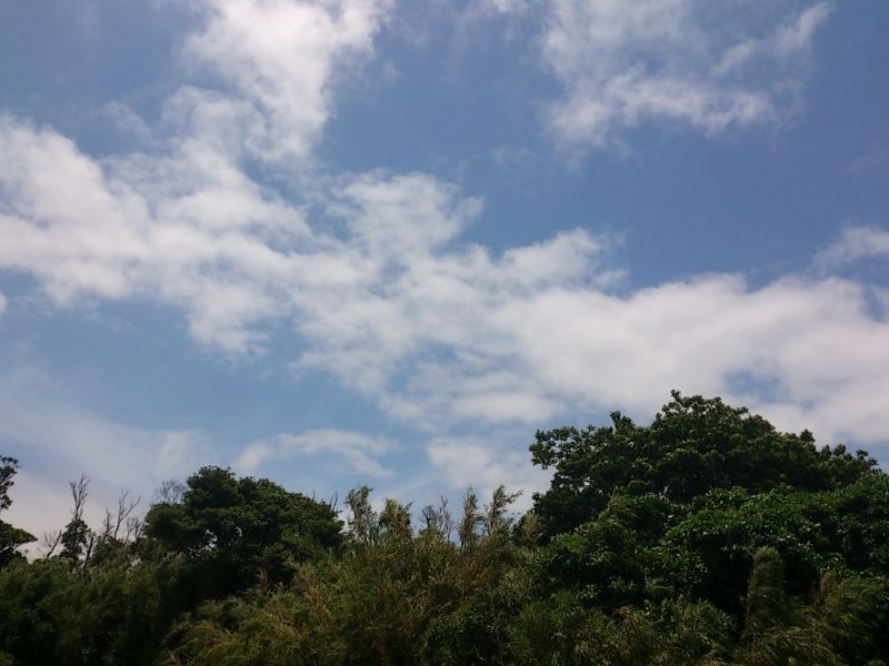 521日目のニート。