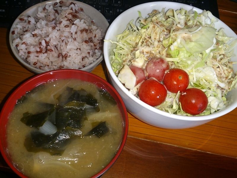 453日目のニート。