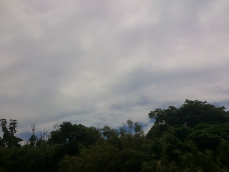 531日目のニート。