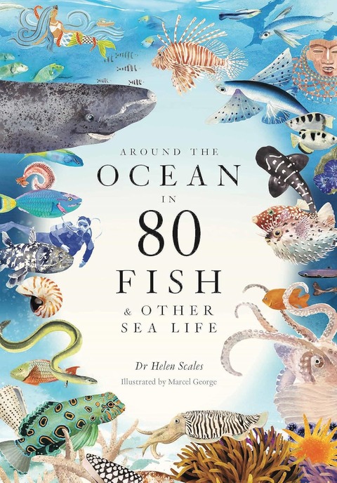 Around the Ocean in 80 Fish and Other Sea Life : Folios