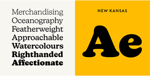 2023年03月 : 無料のフォントまとめ