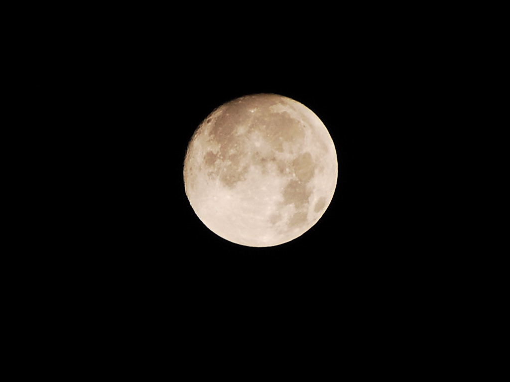 D80闇錬 MOON ニュル26 : 面白きこともなき世を面白く