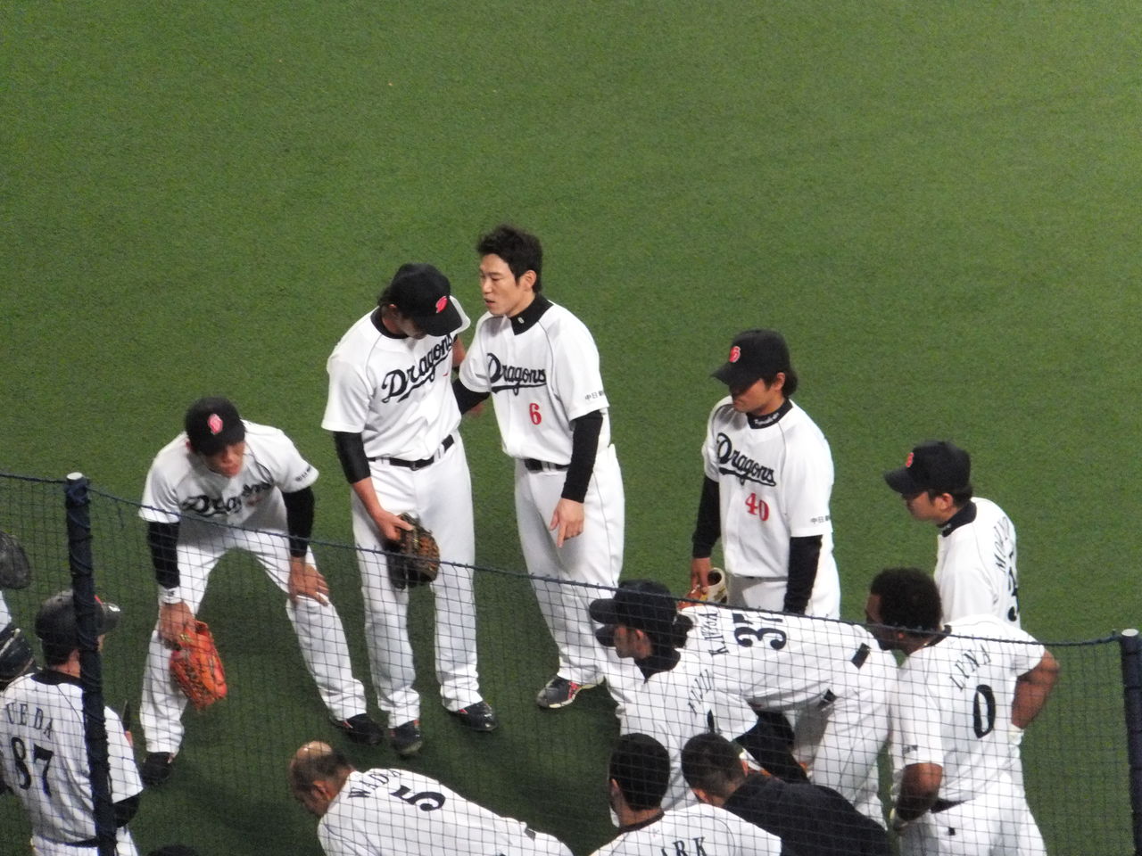 フリージアとかすみ草:DvsYS