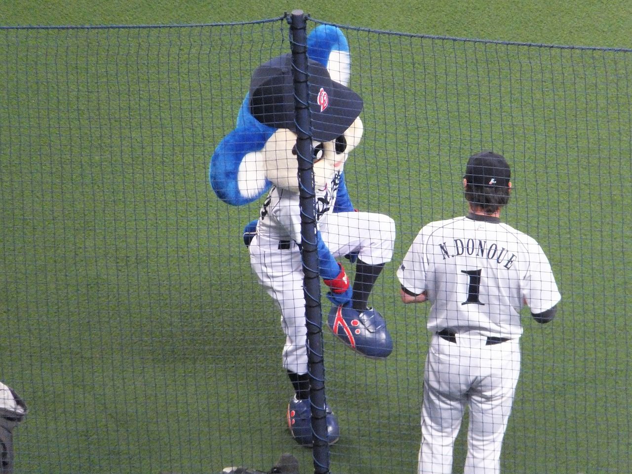 フリージアとかすみ草:DvsYS