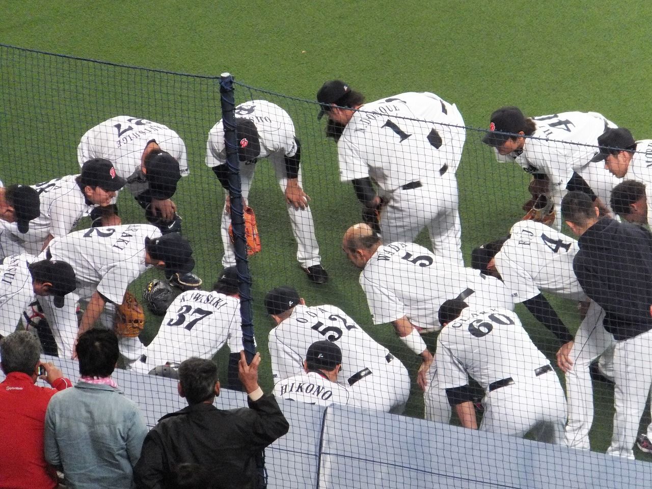 フリージアとかすみ草:DvsYS