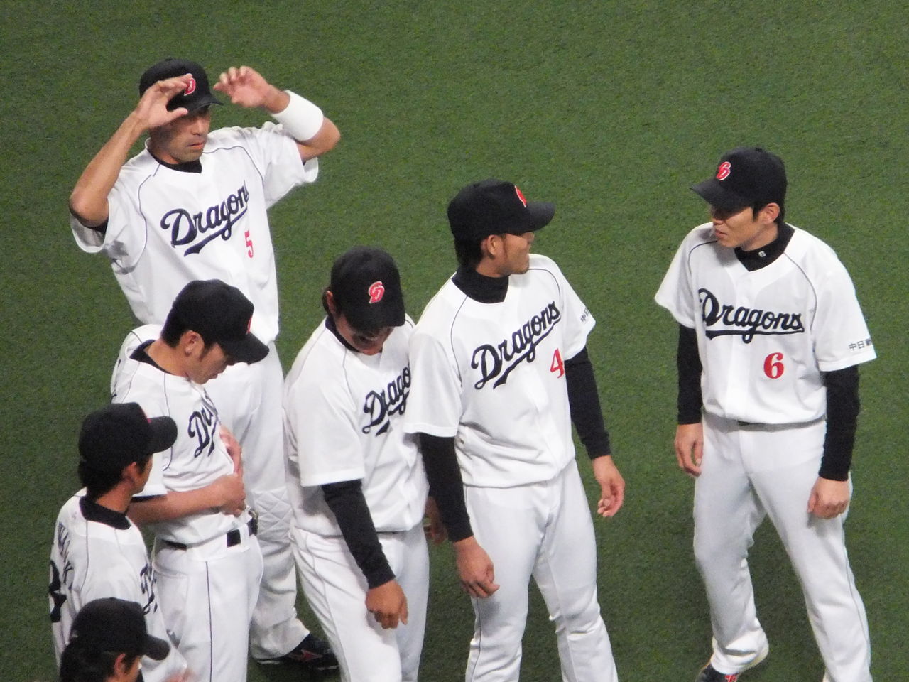 フリージアとかすみ草:DvsYS