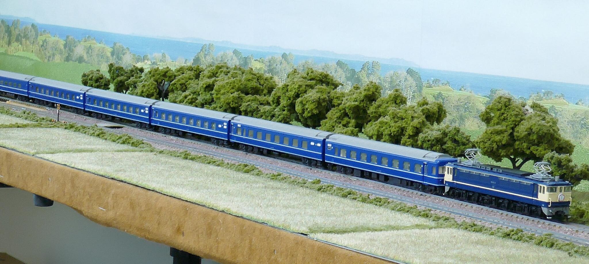 EF65-1100番台＋ブルートレイン : 鉄道情景草案