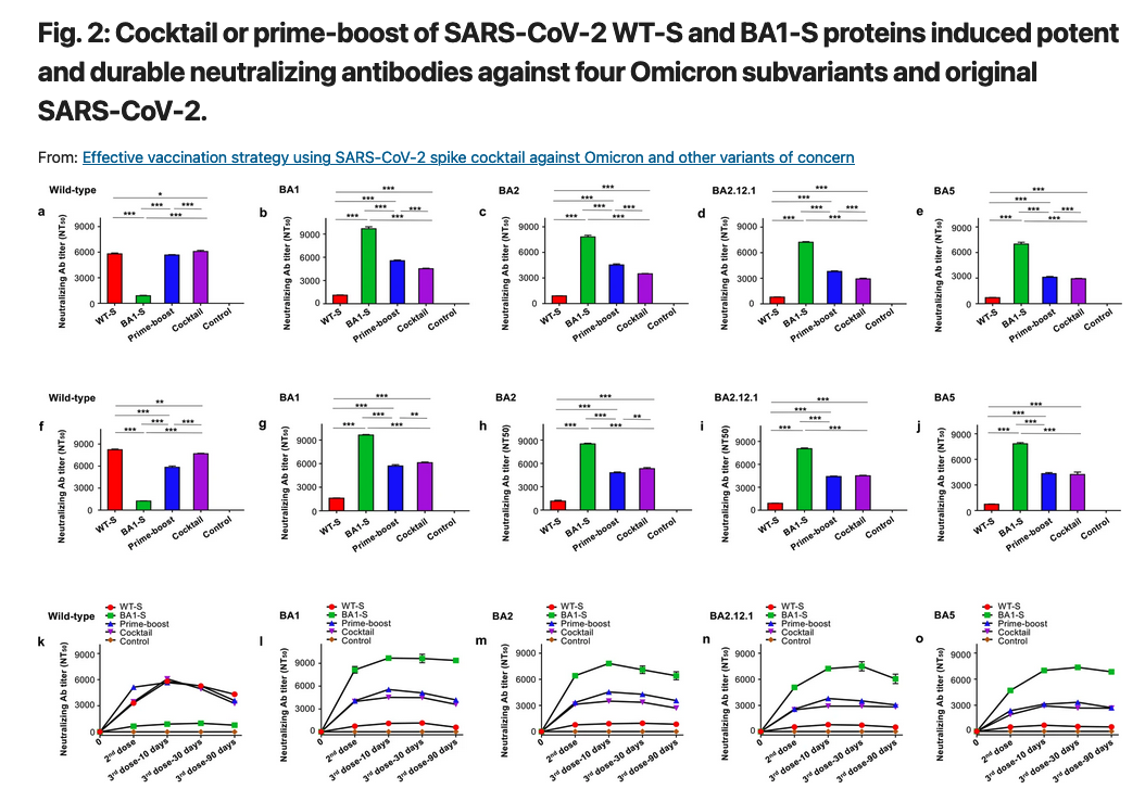 医学部の勉強 分子病理学 : Effective vaccination strategy using SARS-CoV-2 spike ...