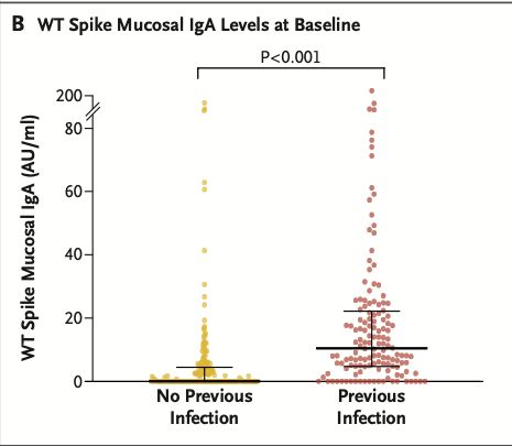 医学部の勉強 分子病理学 : Anti-Spike Mucosal IgA Protection against SARS-CoV-2 ...
