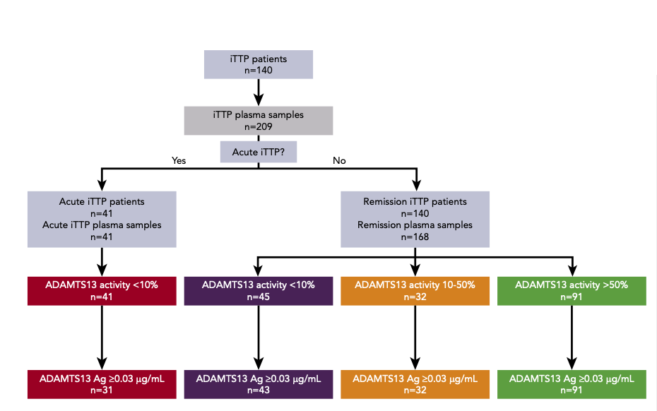 医学部の勉強 分子病理学 : immune-mediated thrombotic thrombocytopenic purpura (iTTP）
