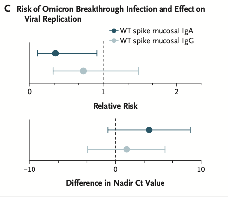 医学部の勉強 分子病理学 : Anti-Spike Mucosal IgA Protection against SARS-CoV-2 ...