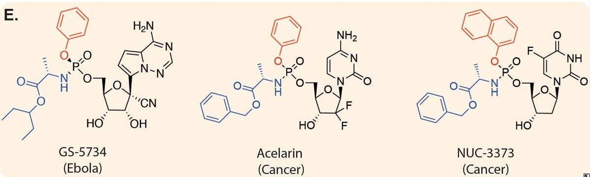 医学部の勉強 分子病理学 : The ProTide prodrug technology: where next? Part 1