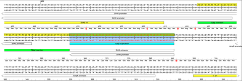 医学部の勉強 分子病理学 : Sequencing the Pfizer monovalent mRNA vaccines also ...
