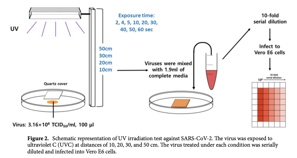 医学部の勉強 分子病理学 : Optimized parameters for effective SARS-CoV-2 ...