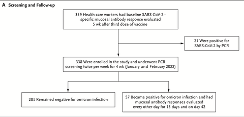 医学部の勉強 分子病理学 : Anti-Spike Mucosal IgA Protection against SARS-CoV-2 ...