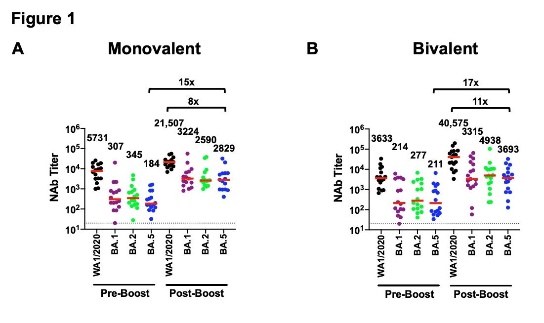 医学部の勉強 分子病理学 : Immunogenicity of the BA.5 Bivalent mRNA Vaccine Boosters