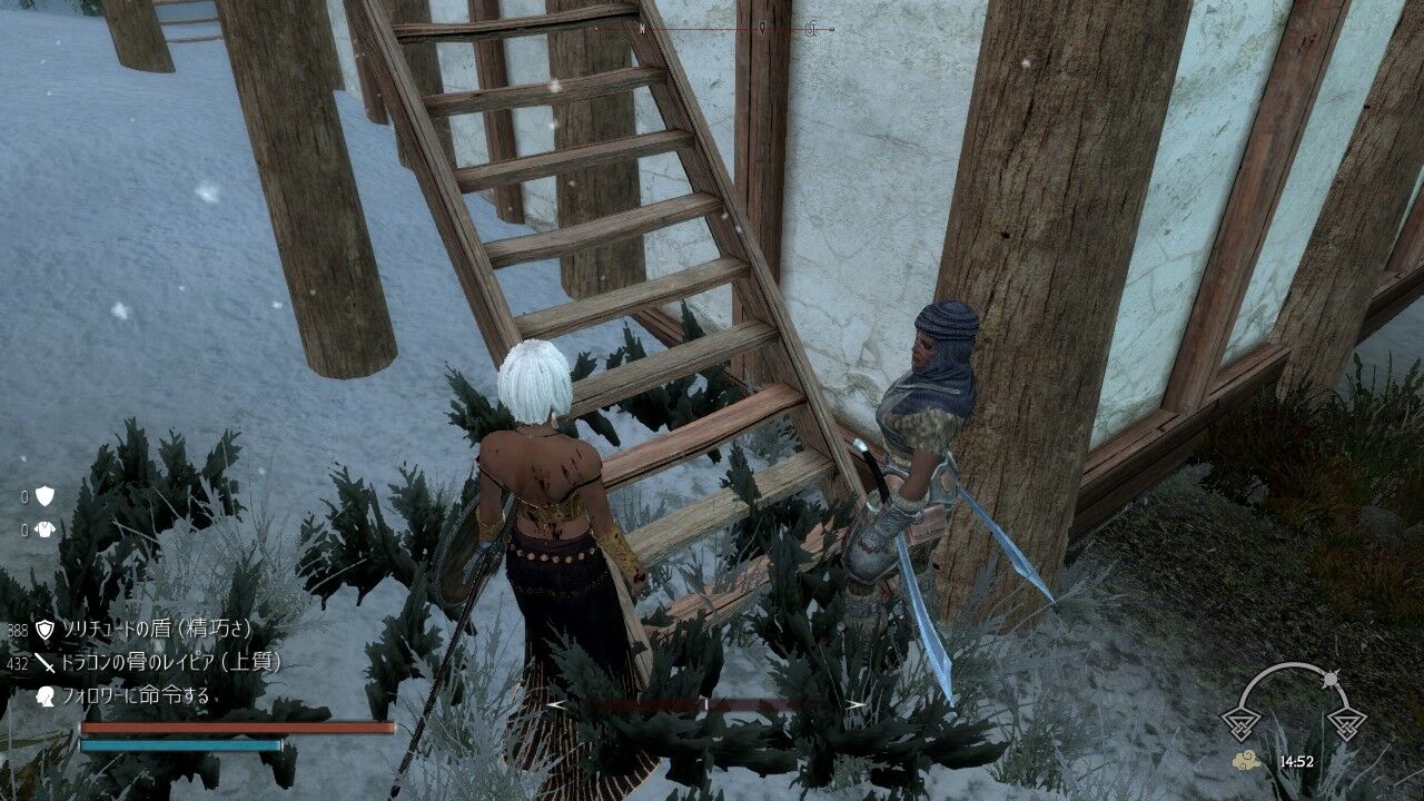 Skyrim SE : 暇さえあればゲーム