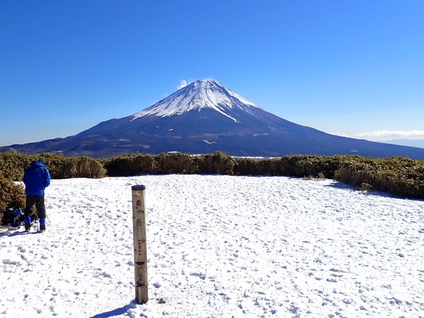 竜ヶ岳・本栖湖 1/30 : 柴犬と暮らす山好きフライ釣人の日記