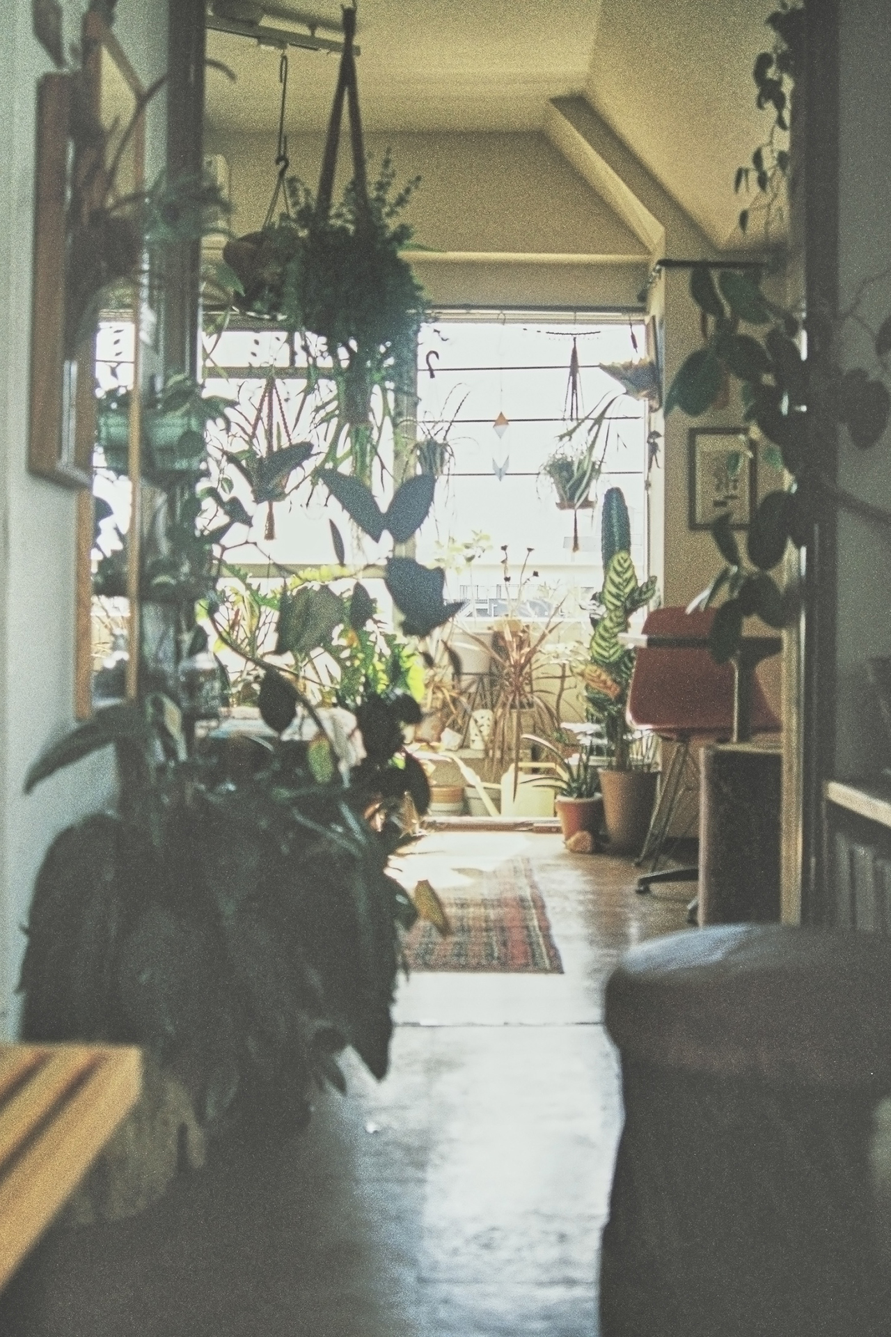 fumi Diary 2号店: ロケ地ノート : shallm「コンビニアイス」PV撮影場所