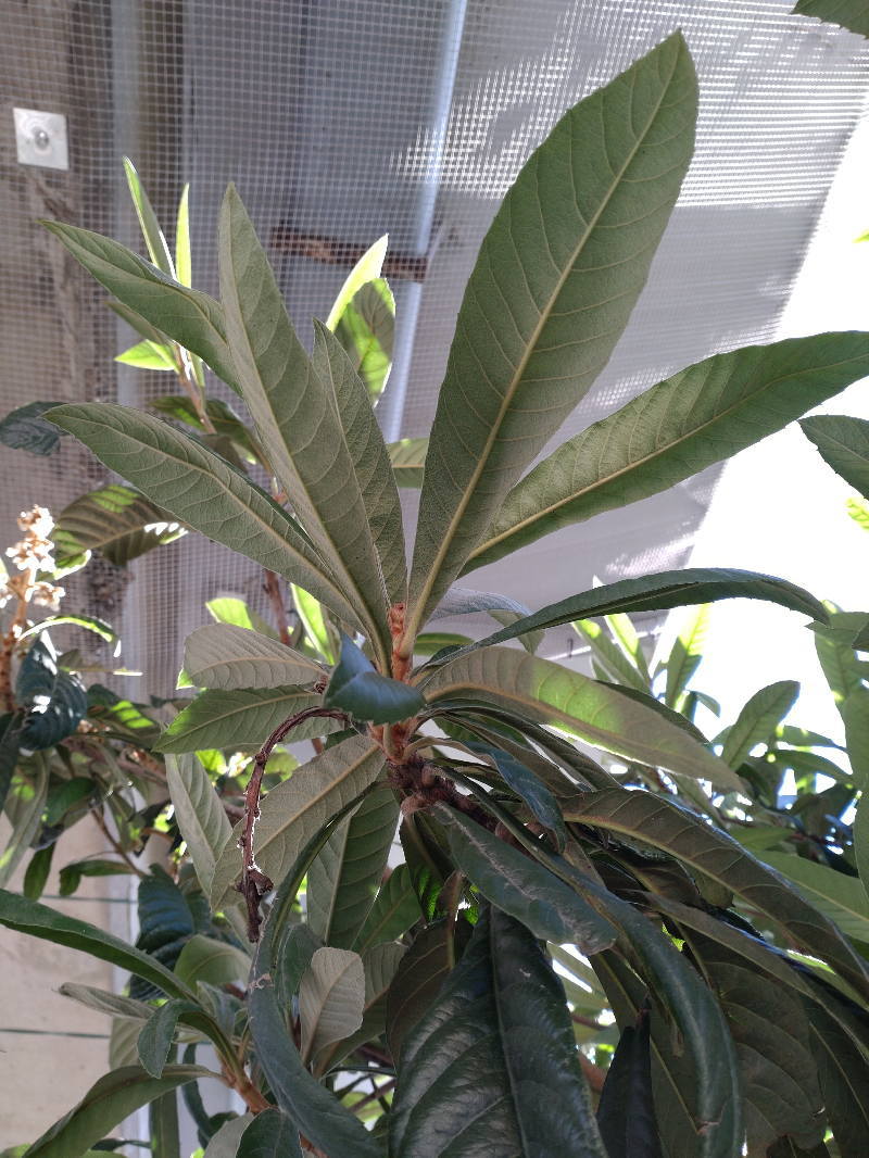 ファニーワールド別館3復活！