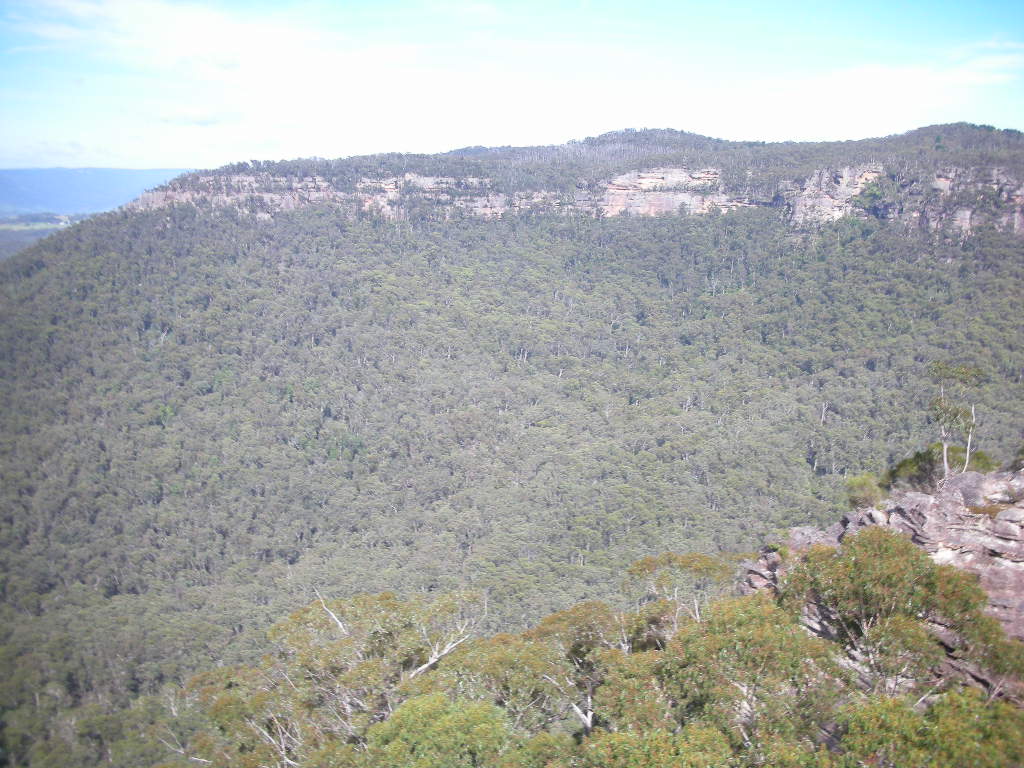 1月 20日 Blue Mts 3 Medlow Bath : 関東近辺と世界各地でのクライミング写真館