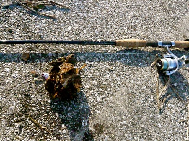 釣り好きfyuiiの日記