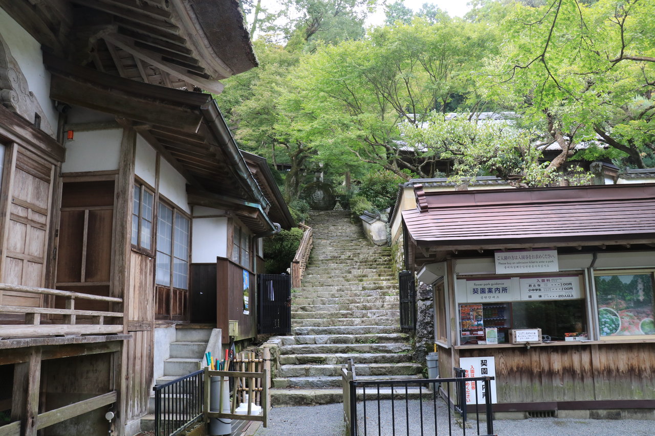花咲かすおじさん : 佐賀－22 大興善寺