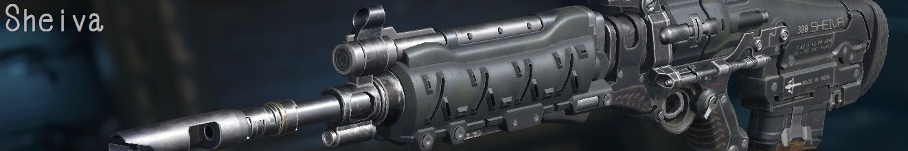 Cod:BO3 強化されたアサルトライフル達(Putch1.06) : げぇむはしりがき