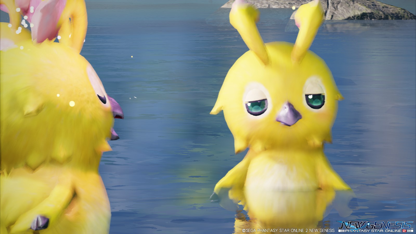 [PSO2:NGS] ラッピー写真集 : イリュゲー限界キャラメイクブログ