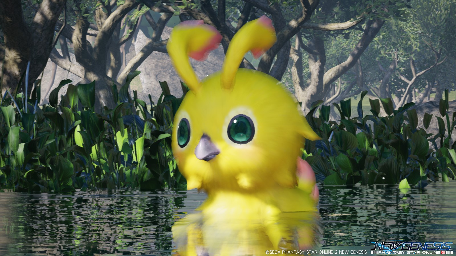 [PSO2:NGS] ラッピー写真集 : イリュゲー限界キャラメイクブログ