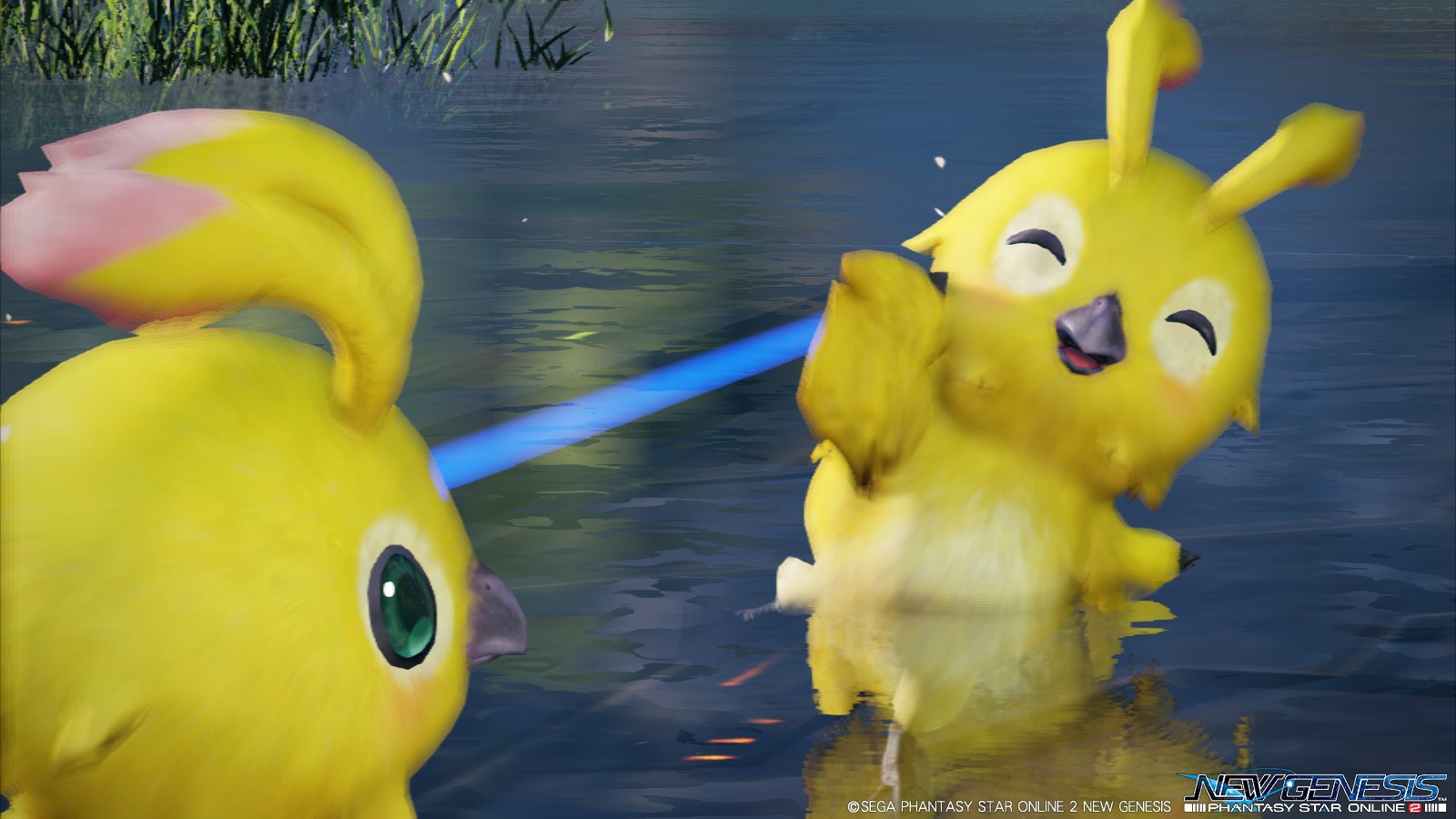 [PSO2:NGS] ラッピー写真集 : イリュゲー限界キャラメイクブログ