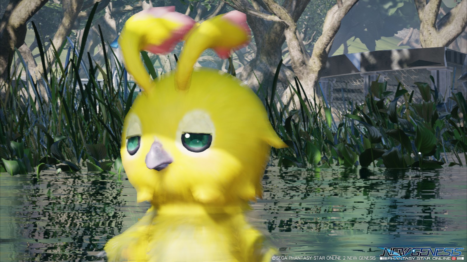 [PSO2:NGS] ラッピー写真集 : イリュゲー限界キャラメイクブログ