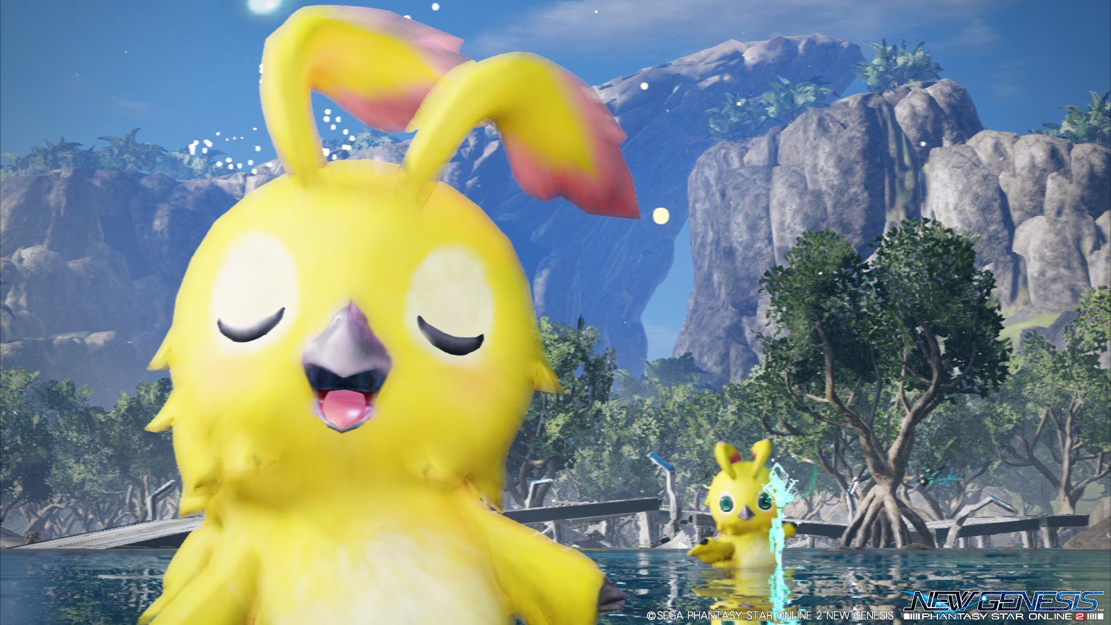 [PSO2:NGS] ラッピー写真集 : イリュゲー限界キャラメイクブログ