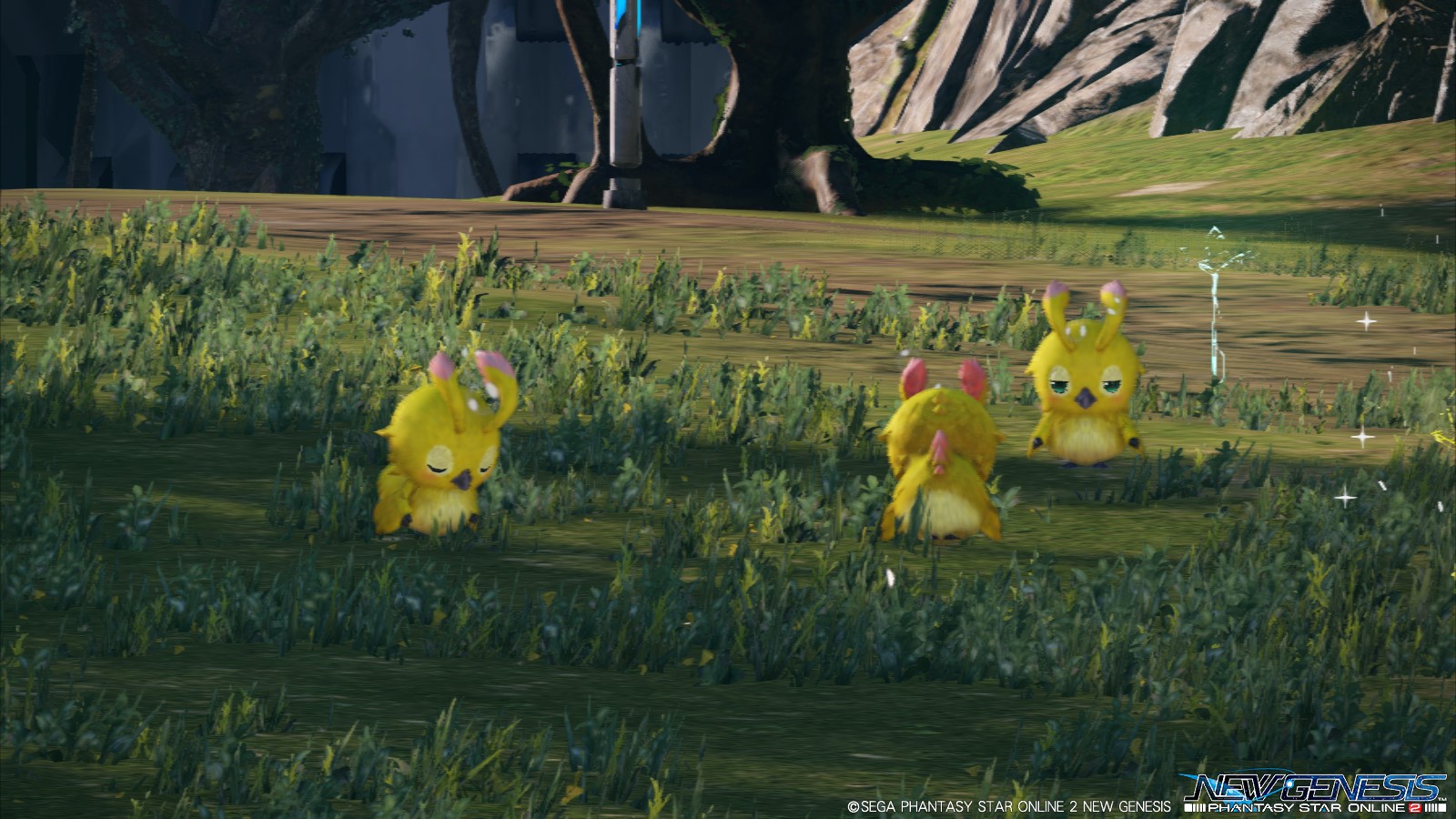 [PSO2:NGS] ラッピー写真集 : イリュゲー限界キャラメイクブログ